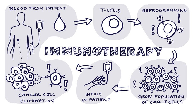 A Comprehensive Guide to Immunotherapy Treatments: Harnessing the Power ...